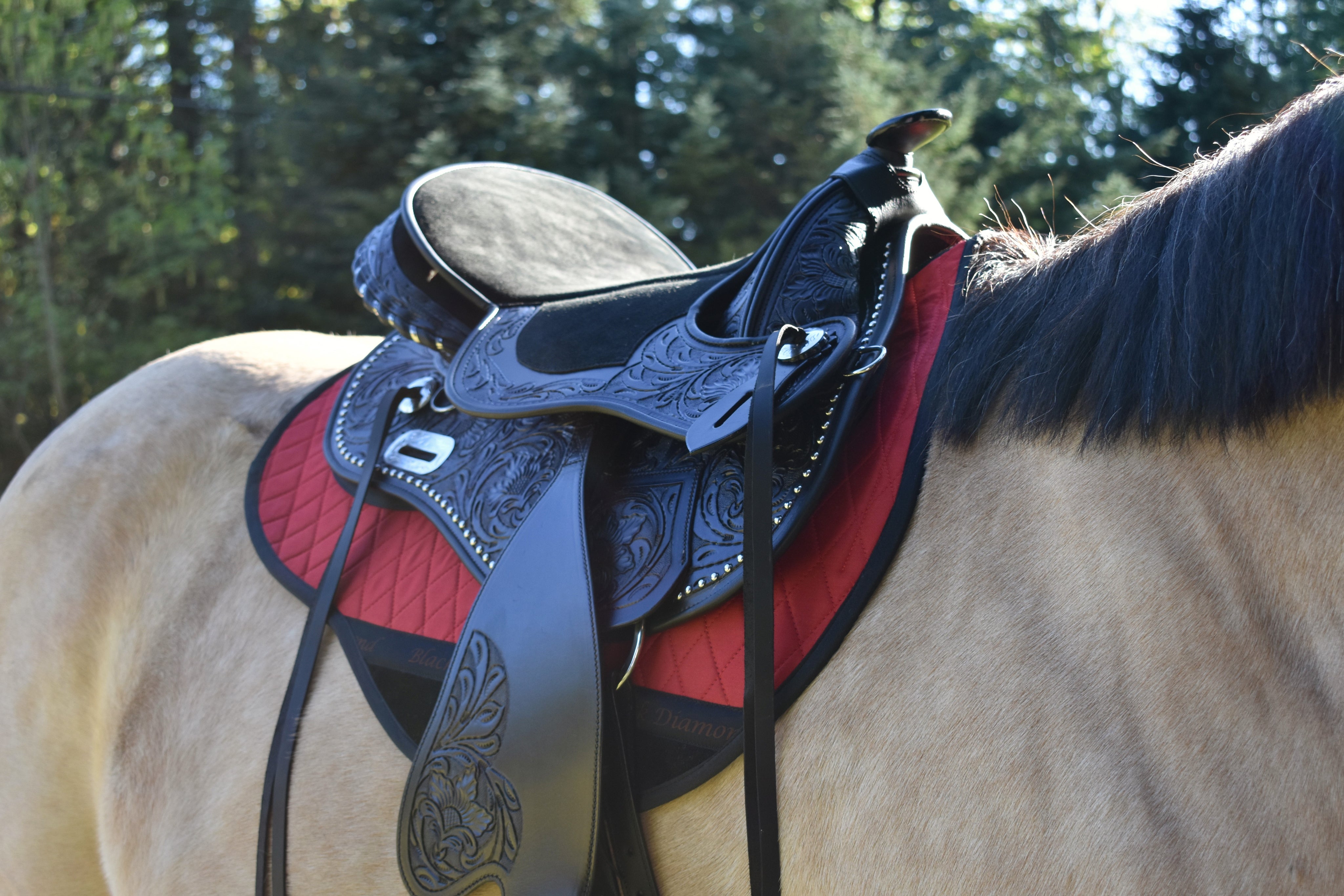 Products – BlackForestSaddles