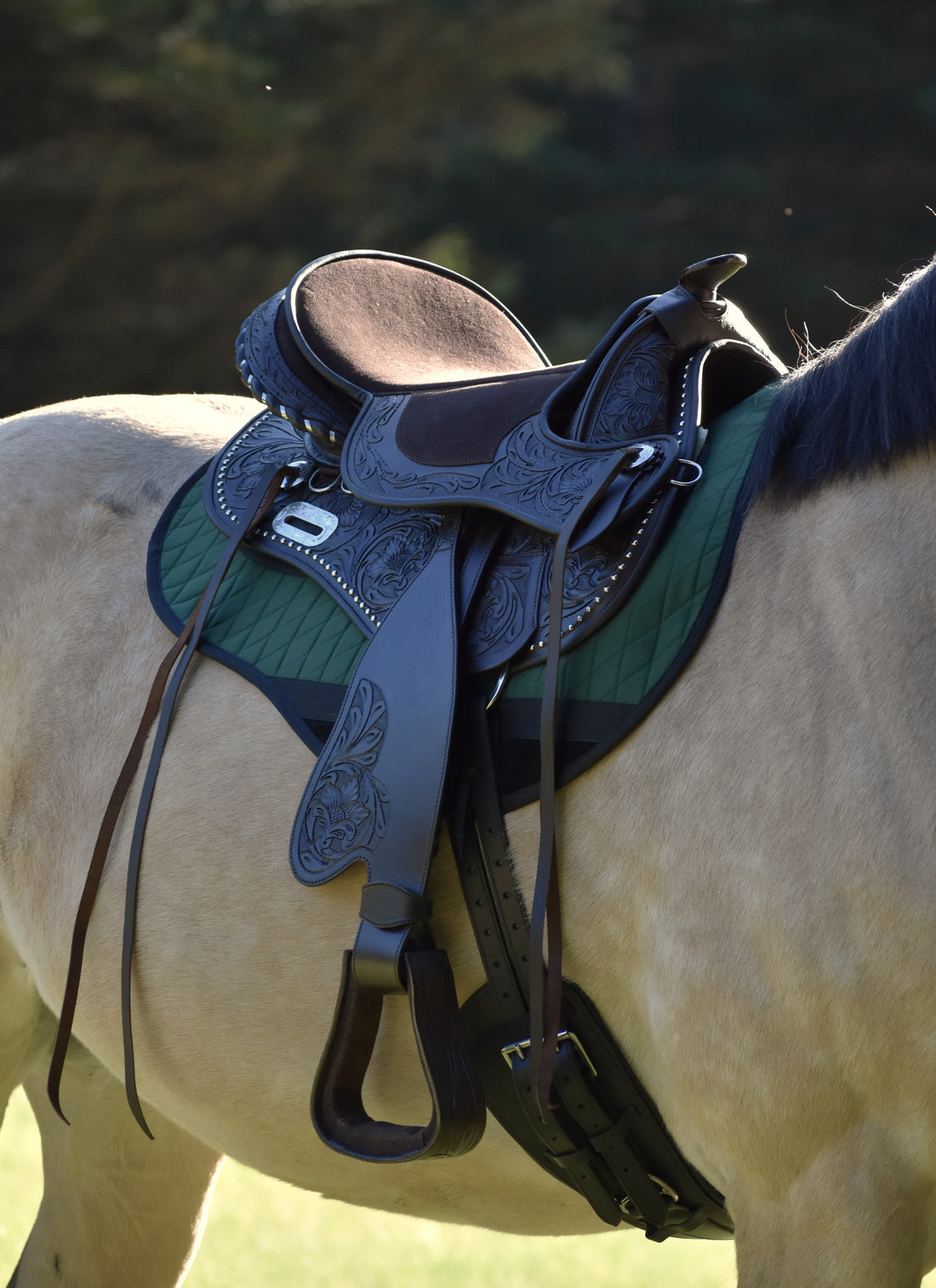 Black Forest Treeless Saddles are the premier Treeless saddle ...