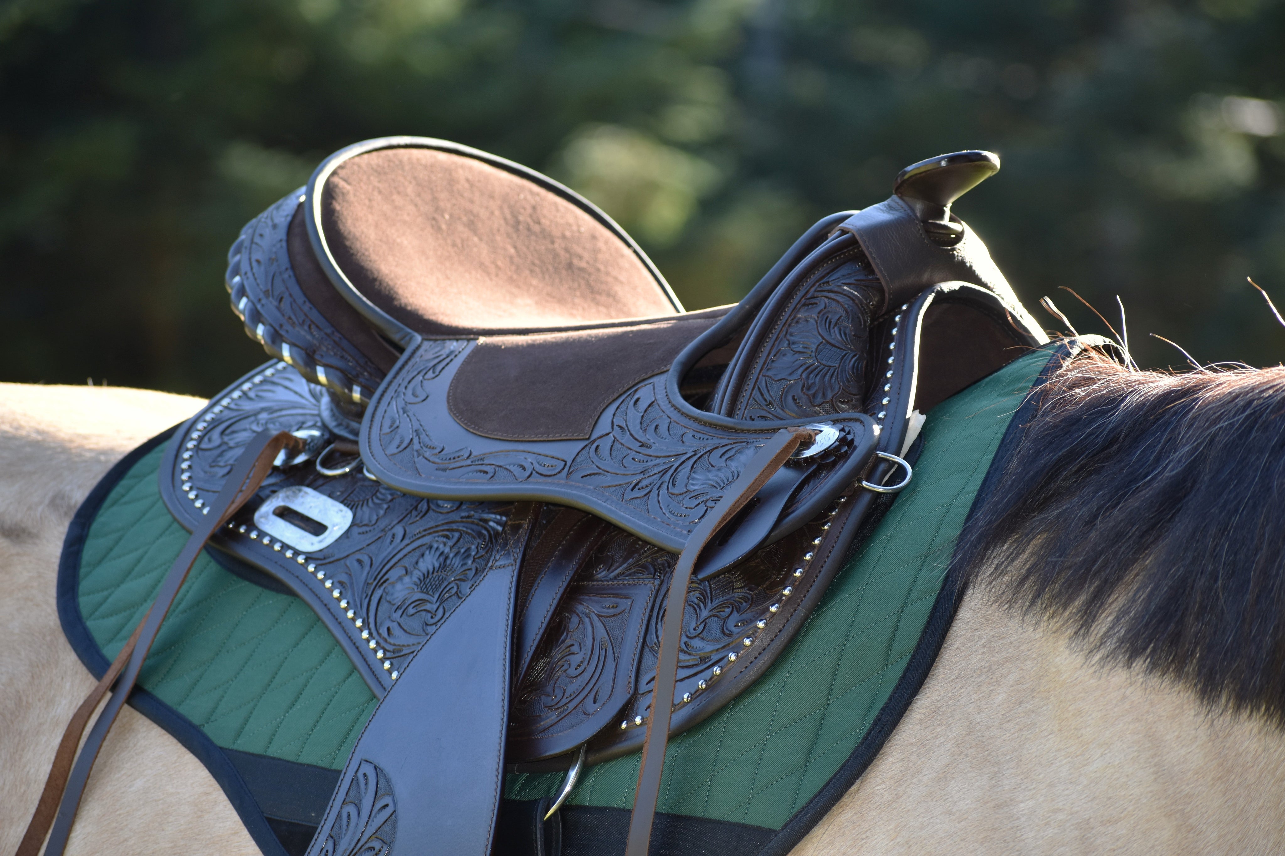 Bourbon Oak – BlackForestSaddles