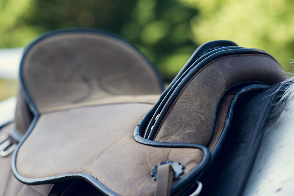 Black Forest Treeless Saddles are the premier Treeless saddle ...
