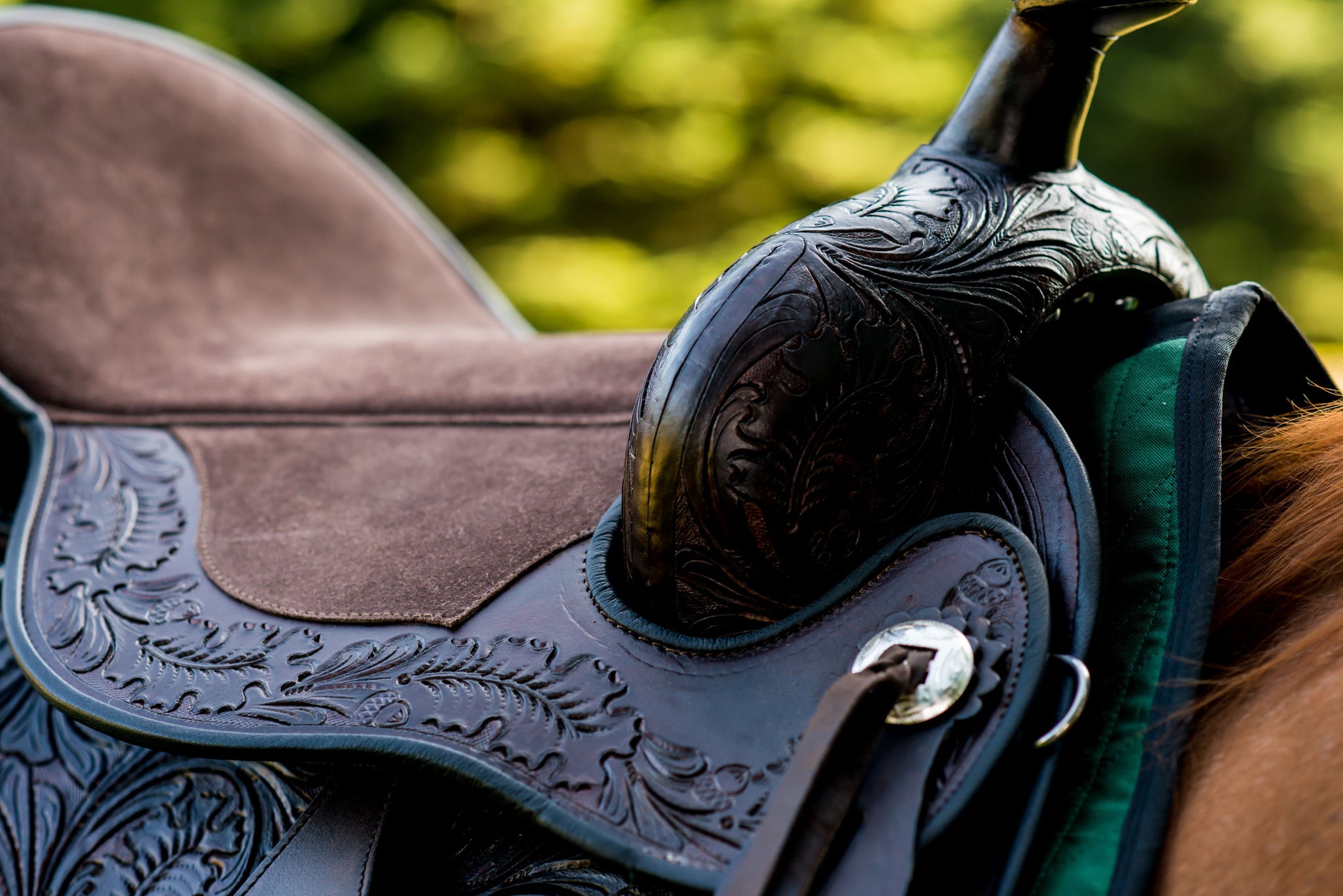 Rosewood Treeless Saddle – BlackForestSaddles