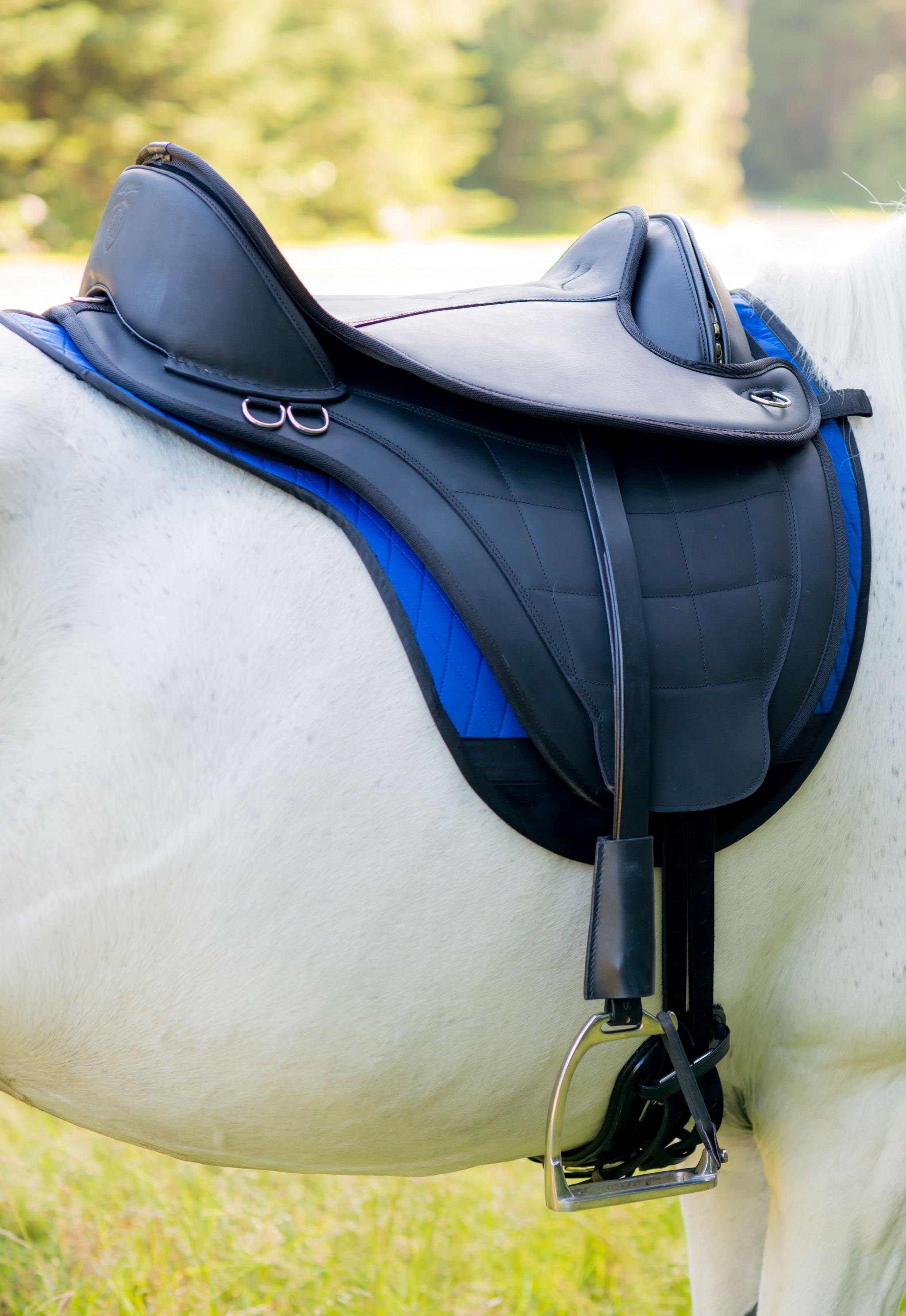 Shasta – BlackForestSaddles