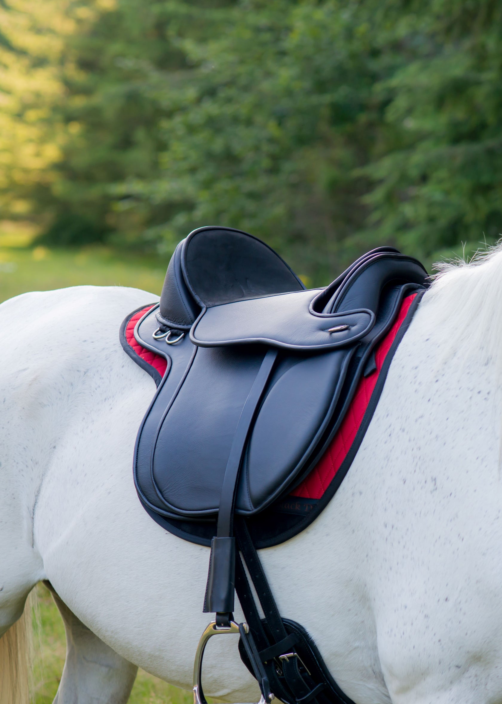 Aspen – BlackForestSaddles