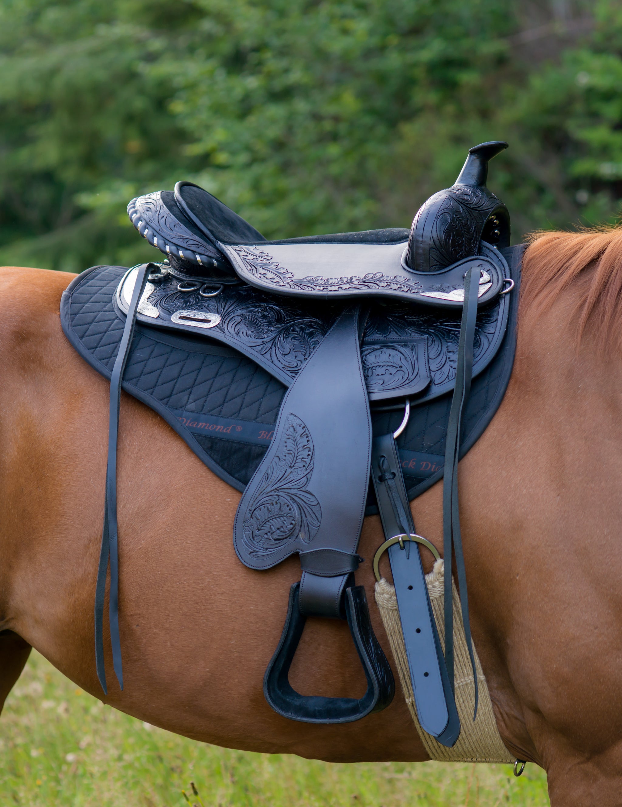 Rosewood Treeless Saddle – BlackForestSaddles