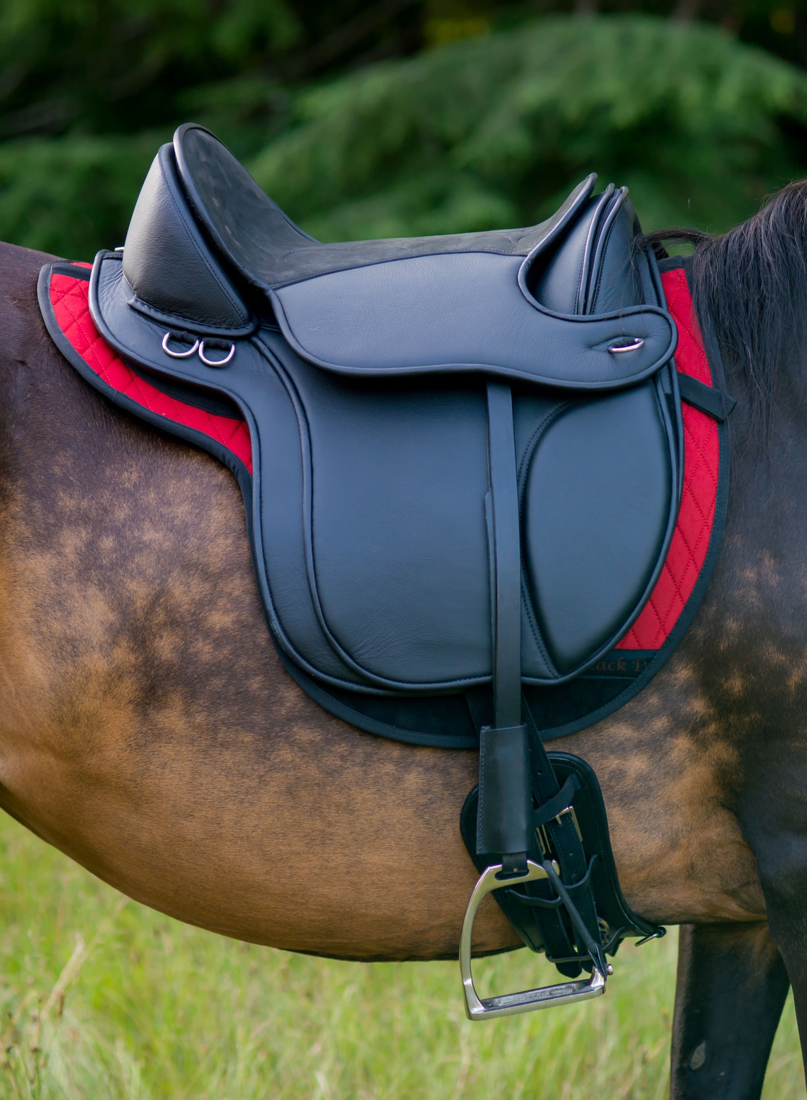 Black Diamond Suspension Saddle Pad – BlackForestSaddles